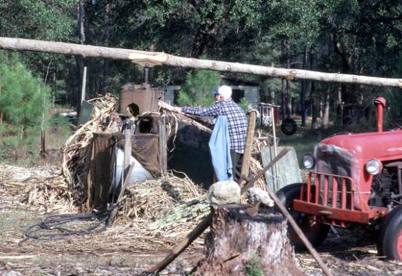 Spotlight on Florida Folklife: Cane Grinding | Culture Builds Florida