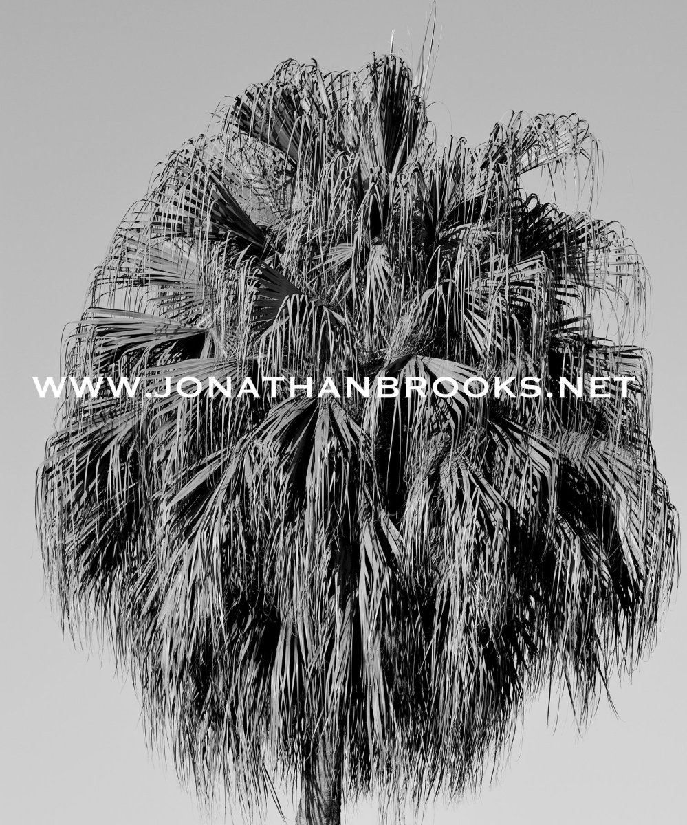 Art Talk: Jonathan Brooks, Photographer and Visual Artist | Culture ...